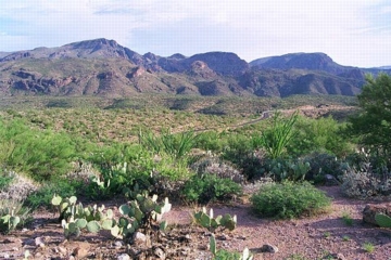 Sonoran Desertscrub – Lower Colorado River Valley | GEOGRAPHY 7 OMEGA